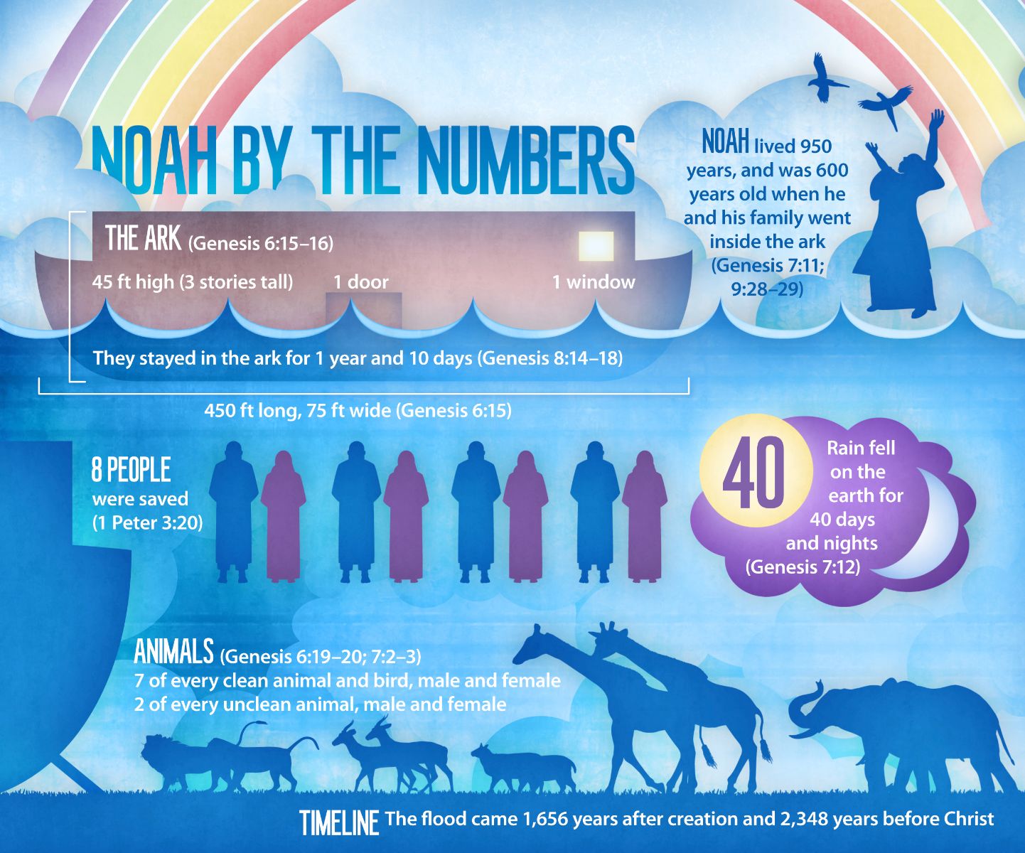 Moah by Numbers – WOMEN'S STUDIES