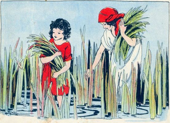 MOTHERS AND DAUGHTERS: Jochebed and Miriam – WOMEN'S STUDIES